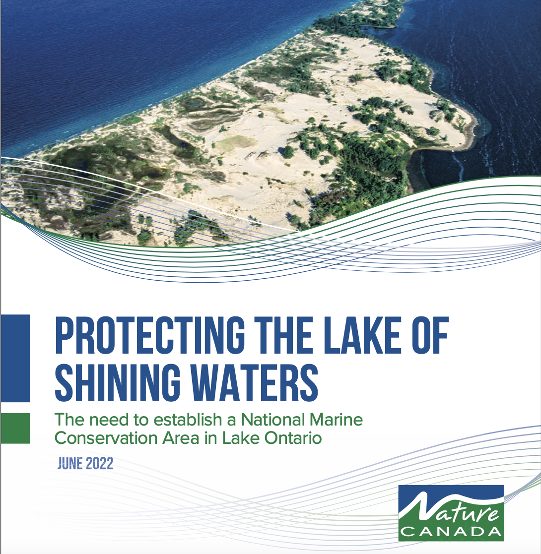 The Property – Save Lemoine Point Farm